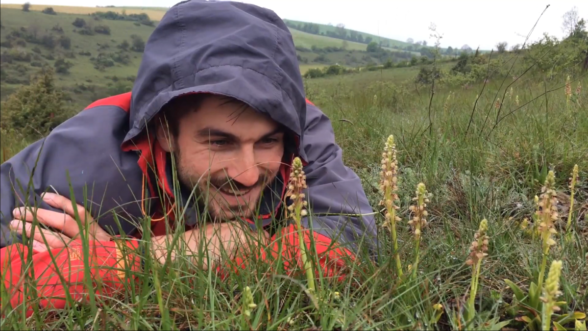 Botany Comms – Leif Bersweden